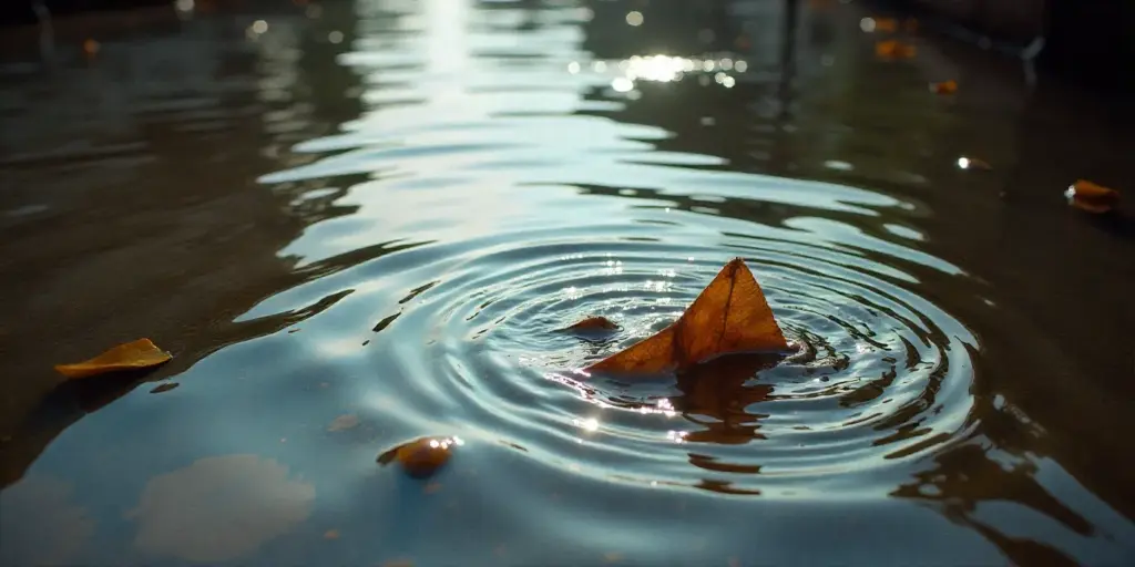 Understanding Health Risks of Floodwater Exposure And Stay Safe